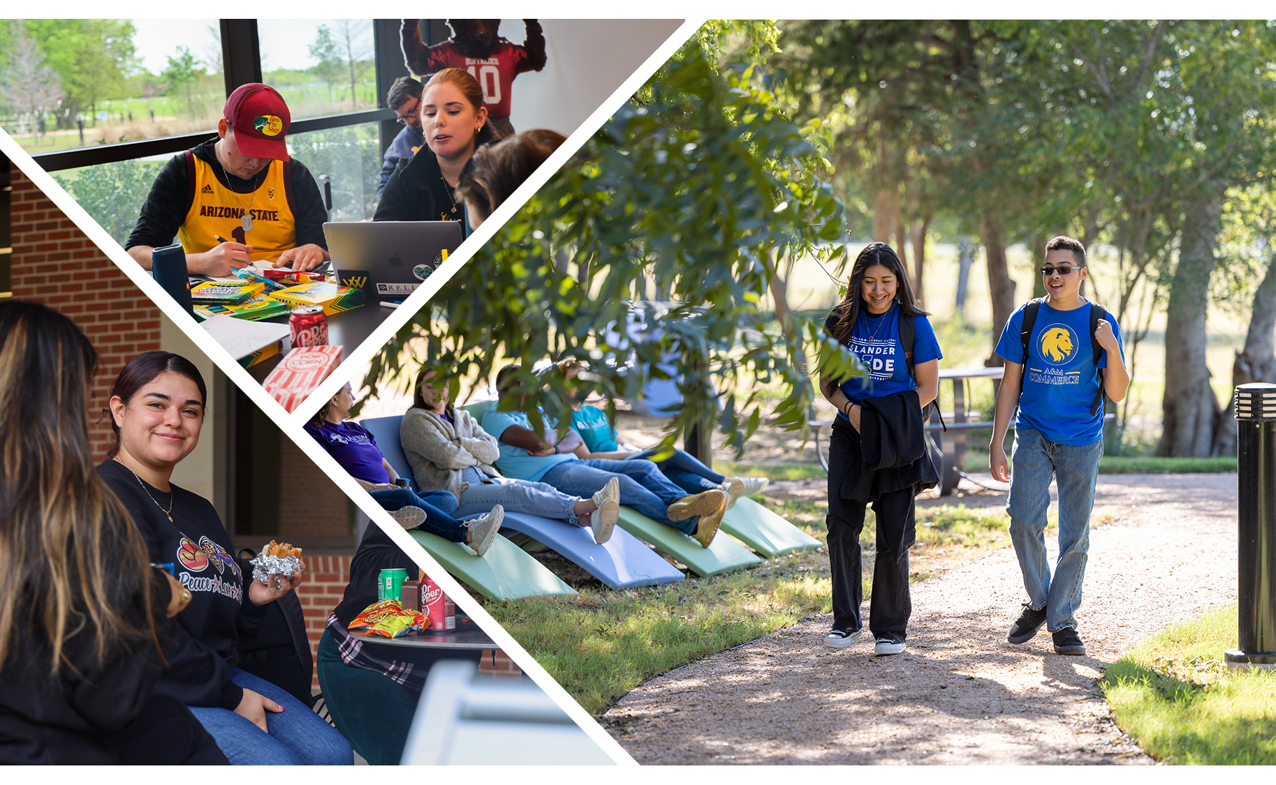 About RELLIS - RELLIS Academic Alliance